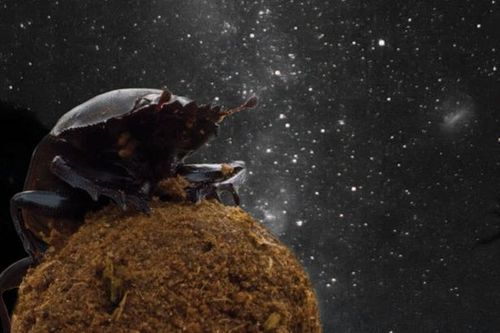 Orienting via Xeper – Setemheb